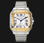 Cartier Santos de Cartier W2SA0016 Ladies Silver Opaline Dial Steel ...