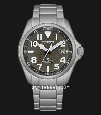 Citizen Promaster BN0241-59H Tough Men Titanium Gray Dial Titanium ...