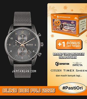 Hugo Boss Skymaster 1513837 Men Chronograph Grey Dial Grey Mesh Strap ...